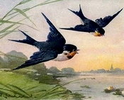 ლექსები გაზაფხულზე - Aura.Ge